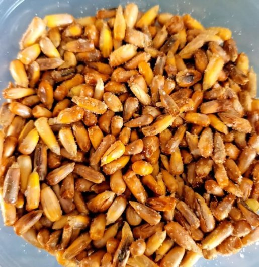 Receta para Hacer Maíz Tostado Corta y Fácil de Preparar